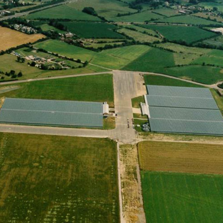 UK's Largest Dedicated grower of Sweet Bell Peppers | Tangmere