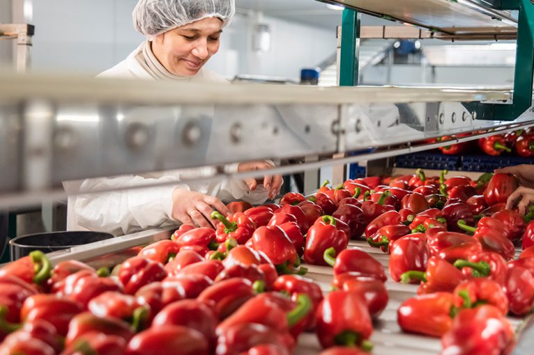 Sweet Bell Peppers | UK's Largest Dedicated Nursery | Tangmere Airfield ...