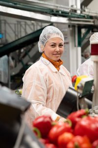 Sweet Bell Peppers | UK's Largest Dedicated Nursery | Tangmere Airfield ...